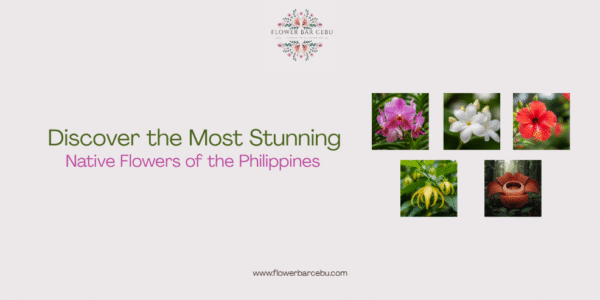 Discover the Most Stunning Native Flowers of the Philippines - Flower ...
